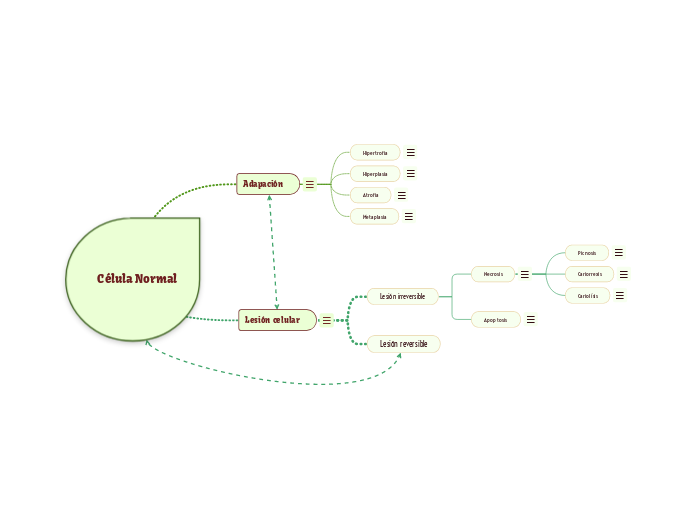 Célula Normal - Mind Map